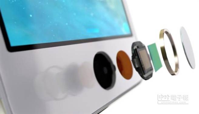 蘋果全面改善Touch ID iPhone 6、iPad Air 2、iPad Mini 3都將配備？ - 科技 - app01