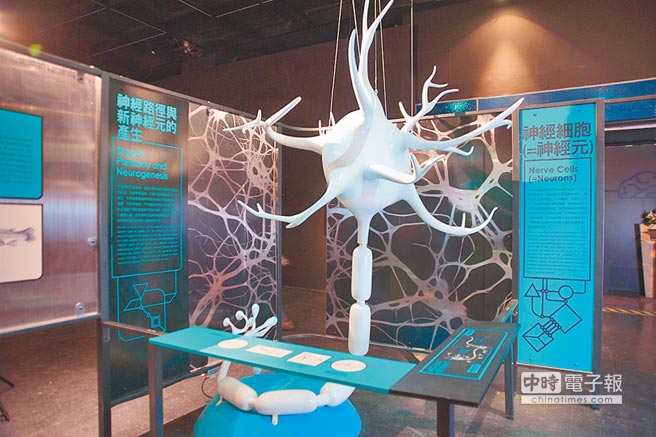 大小鸡事 科博馆报你知 - 地方 - 中国时报