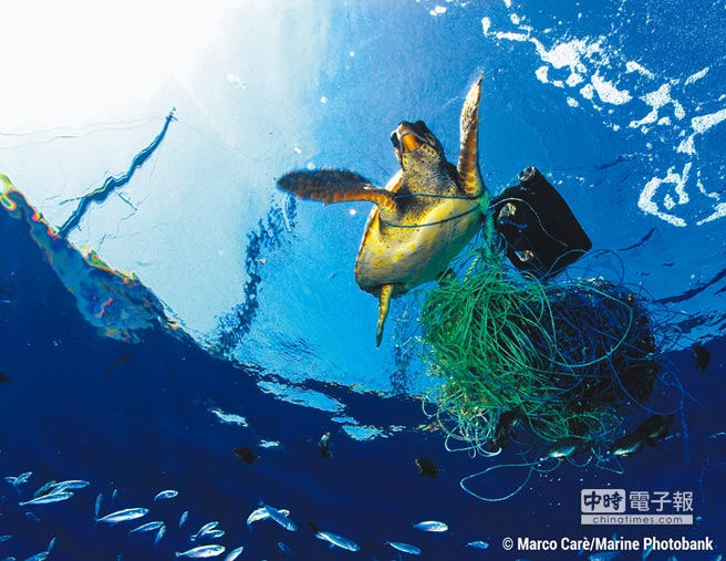 精品聯手守護海洋 - 焦點要聞 - 中國時報