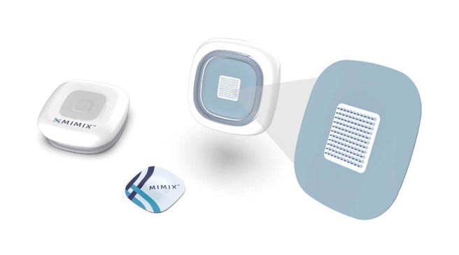 高端新冠疫苗 獲美Vaxess青睞 - 證券．權證 - 工商時報