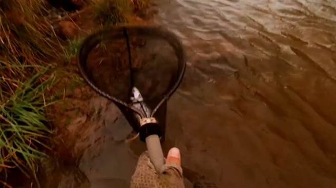 《賭俠2》法國賭神消失螢光幕31年 現滿頭白髮轉行教釣魚 - 娛樂 - 中時新聞網