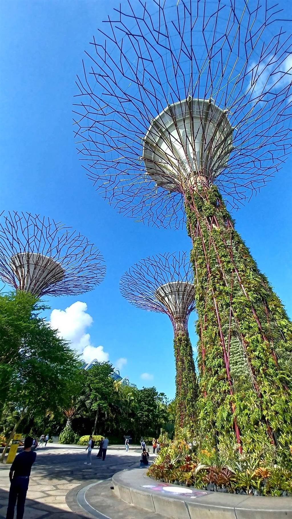 新加坡亲子游2-2》冰淇淋博物馆、巧克力工厂诱客 滨海湾公园吸睛 - 生活 - 中时