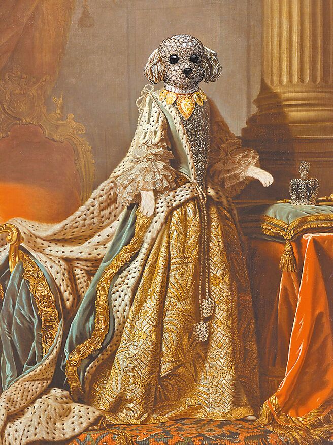 JHENG JEWELLERY毛孩珠寶討喜 - 時尚 - 中國時報