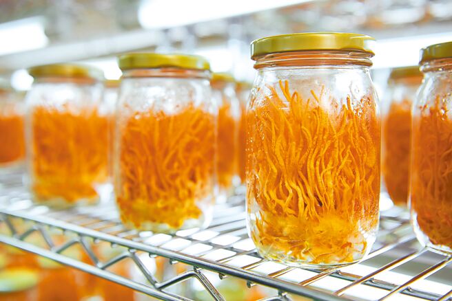 宏潤研發銀杏果黃金蟲草滋補品 - 產業特刊 - 工商時報