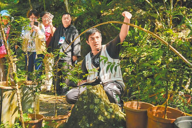 Kinga tazing田原 部落繁榮的旗手 - 生活 - 中國時報