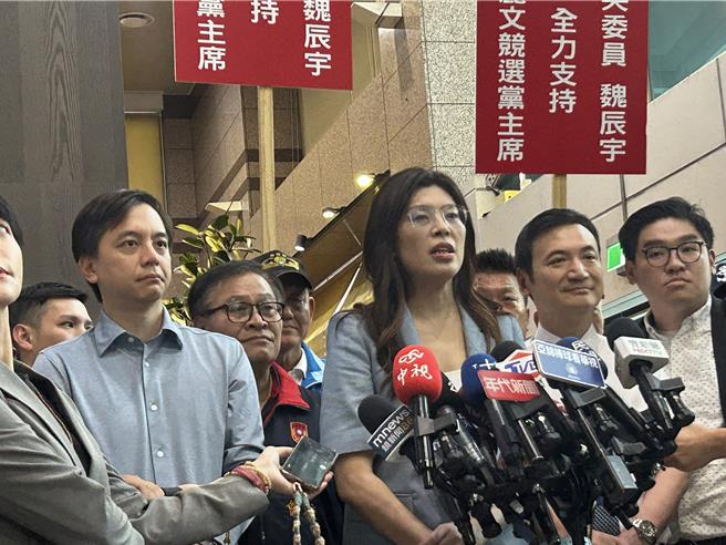 郑丽文今登记参选党主席：盼党中央办一场乾净公平的选举 - 政治 - 中时